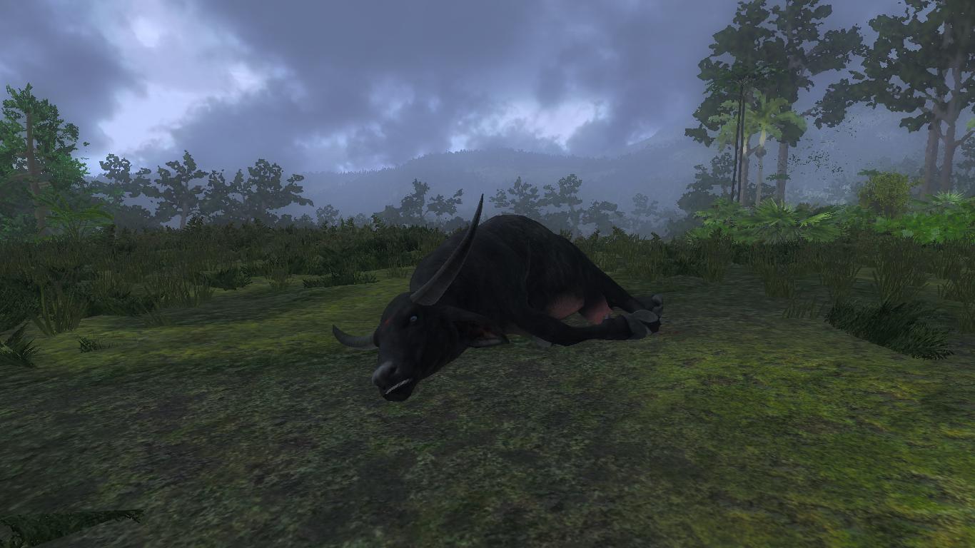 Water Buffalo rifles - .300, 9.3mm, 7mm magnum all disallowed ...