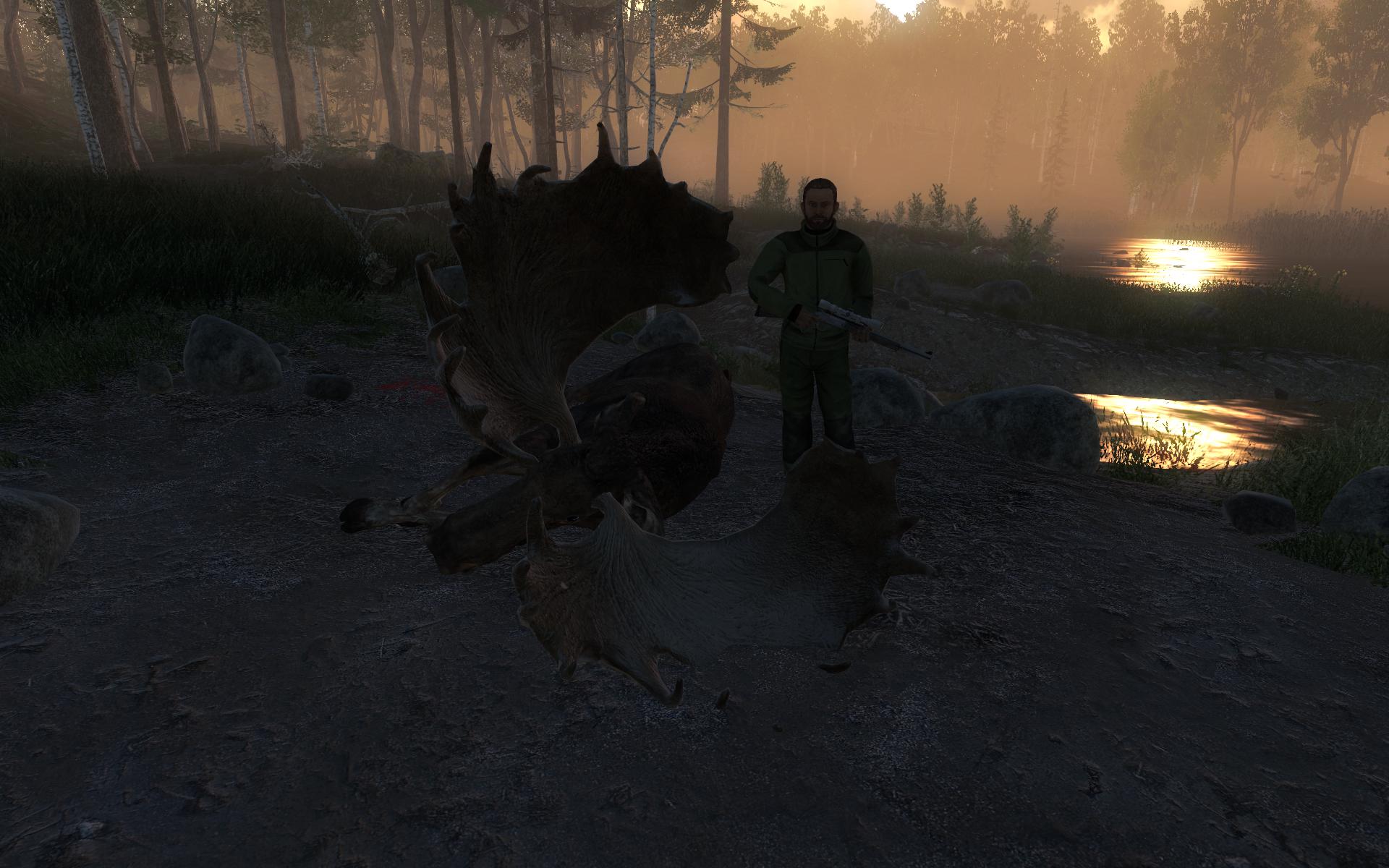 Huge 222 scoring moose i shot in classic : theHunter