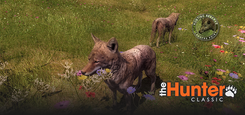 theHunter Classic - The most realistic hunting game ever created